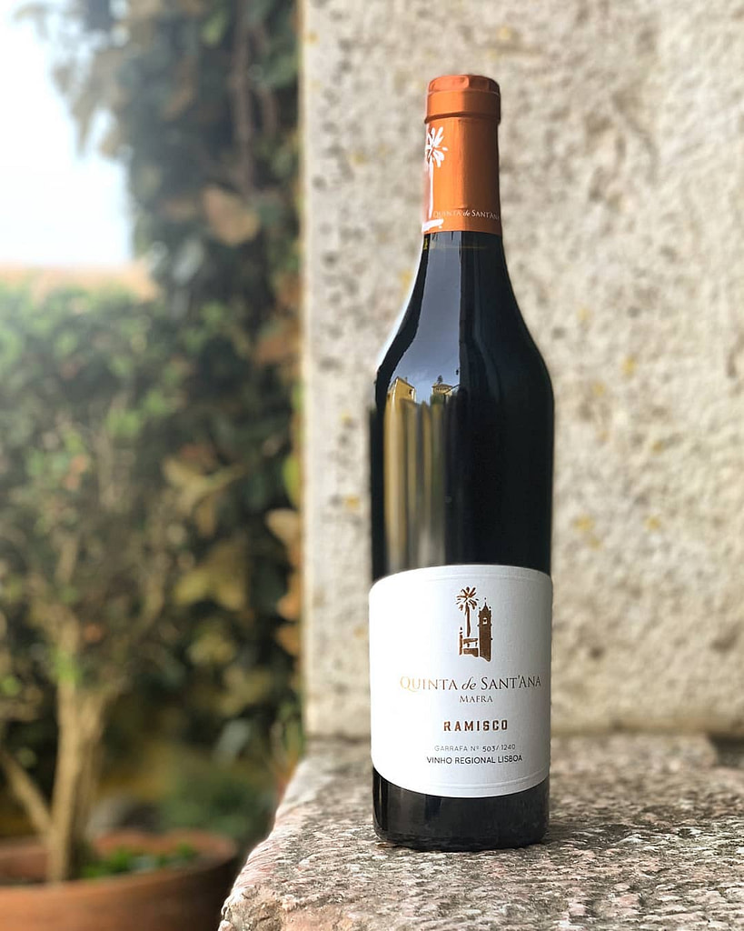 Portuguese wine guide: the best wines of Portugal by wine region.